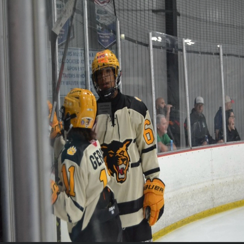 Golden Wolves Hockey | Bantam 14UAA Roster | Golden Wolves | 2023-2024 ...