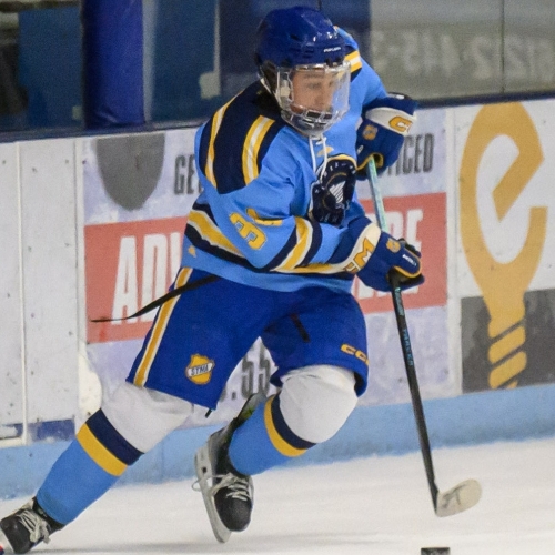 St. Michael - Albertville Youth Hockey | Bantam AA Roster | TRAVEL ...