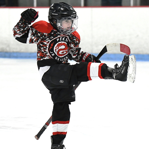 Pekin Amateur Hockey Association | U10 CSDHL Roster | Regular Season ...