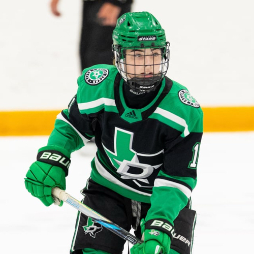 Dallas Stars Elite Girls Hockey | 14U TIER 1 Roster | Dallas Stars ...