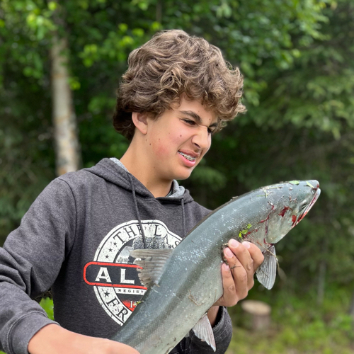 Proctor High School Athletics | Proctor Boys Soccer Roster | Boys ...