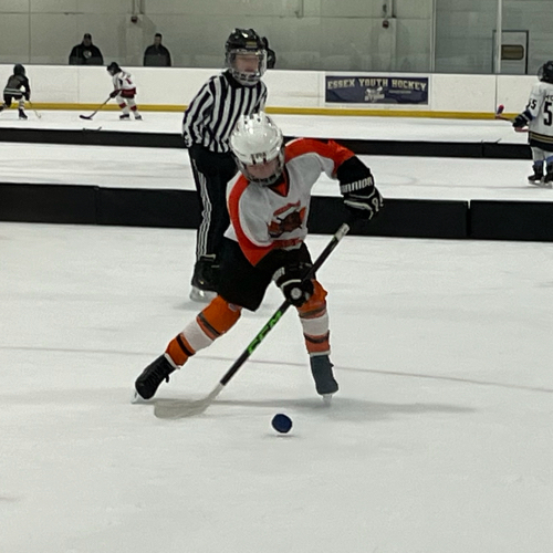 Chazy Youth Hockey | Chazy 8U Mite Girls Roster | Regular Season ...