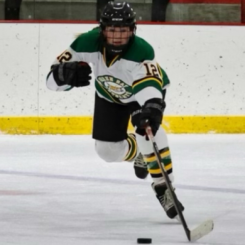 Green Bay Area Youth Hockey Association | 14U Girls B Roster | 10U ...