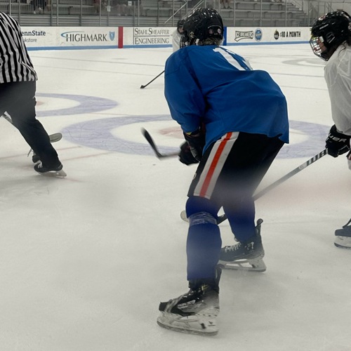 Erie Youth Hockey Association | 18u (Ordos) Roster | Boys Travel Hockey ...