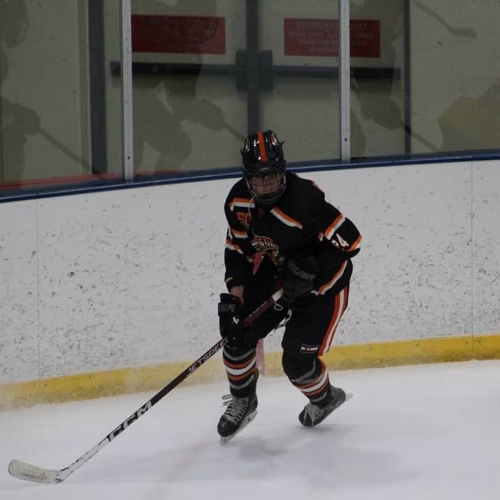 Hyland Hills Jaguars | 16U AA Roster | Competitive Hockey | 2024-25 ...