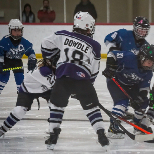 HAWK Hockey | PEEWEE PURPLE Roster | House Hockey | Fall House 2023-24