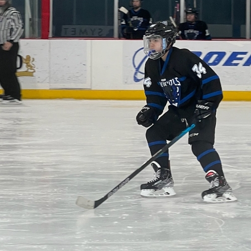 Mustang Hockey Association | 14U Rongitsch Roster | House (Recreational ...