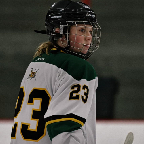 Cornerstone Community Center | 14U Girls Hornets Roster | HORNETS ...