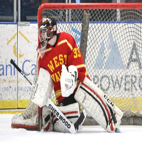 Hockey Club Fairbanks | 16U+ Zoom Roster | Spring League | Spring ...