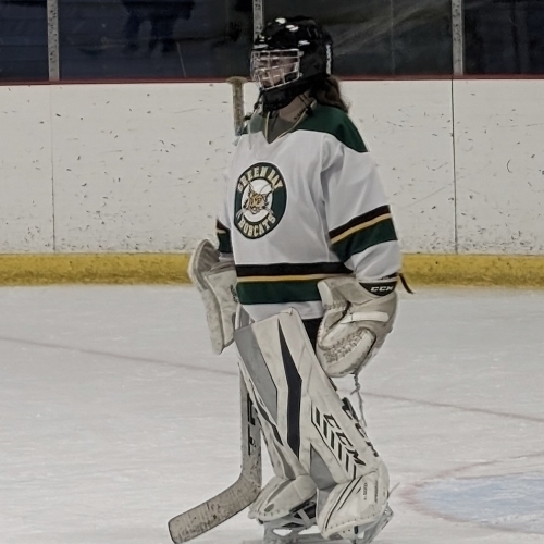 Green Bay Area Youth Hockey Association | 12U Girls B Roster | 10U ...