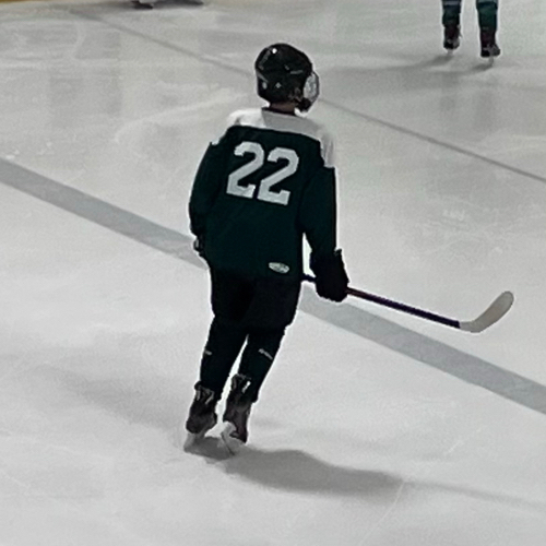 Foothills Hockey Association | CPHL Roster | Season Registration | 2024 ...