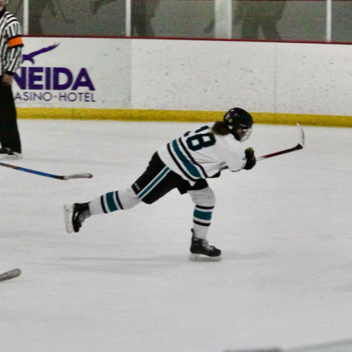 Wisconsin Elite Hockey League | 18U High School Girls North Central ...