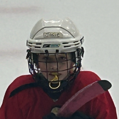 Red Wing Hockey Association | 10U Girls Roster | Traveling Hockey ...