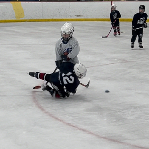 Lysander Youth Hockey | 8U White (Farley) Roster | Lysander Youth ...