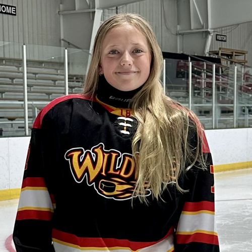 Beaver Dam Hockey Association | 12U Pee Wee B Roster | Youth Hockey ...
