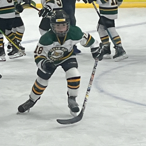 De Pere Youth Hockey | Spring Peewees Roster | Spring Hockey | Spring 2025