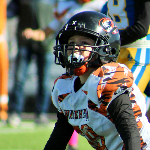 Wareham Tigers Athletic Association | Mites Football Roster | Tackle ...