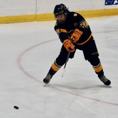Golden Wolves Hockey | 16U A Roster | Golden Wolves | 2023-2024 10U-18U ...