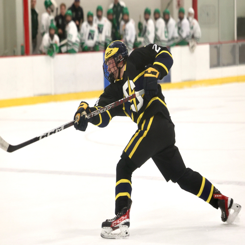 Glenbrook South Hockey | Glenbrook South Varsity Roster | Regular ...