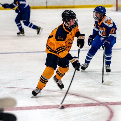 Minnesota Performance Hockey | 2010 Selects Roster | AAA Hockey | 2025 AAA