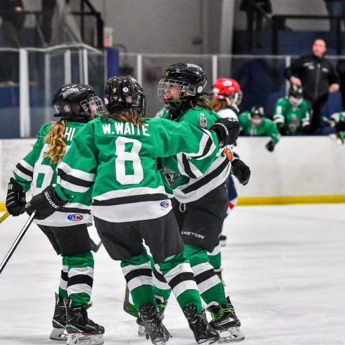 St. Jude Hockey Club | 19U Girls Stanislavski Roster | Girls Programs ...