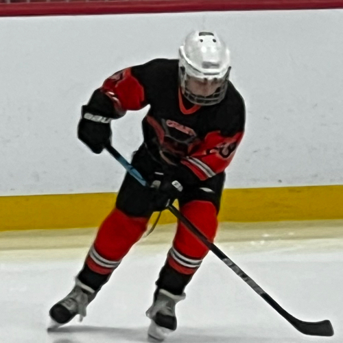 North Country Cougars | 14U Bantam Roster | North Country Cougars ...