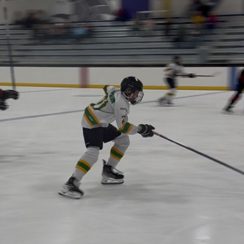Minnesota Performance Hockey | 2012 Selects Roster | AAA Hockey | 2026 AAA