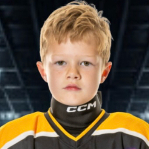 Madison Capitols AAA Hockey | Spring 8U Roster | AAA Spring Season | 2025