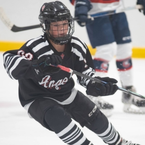 Fargo Angels Hockey | Bantam AA Roster | Travel Hockey - Registration ...