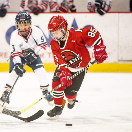 Miami Youth Hockey | 14UA Gold Roster | MYH | Youth Hockey | MYH Travel ...