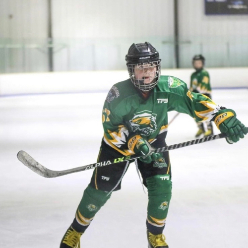 Junior Falcons Hockey Club | Jr Falcons Peewee AA Roster | Squirt ...