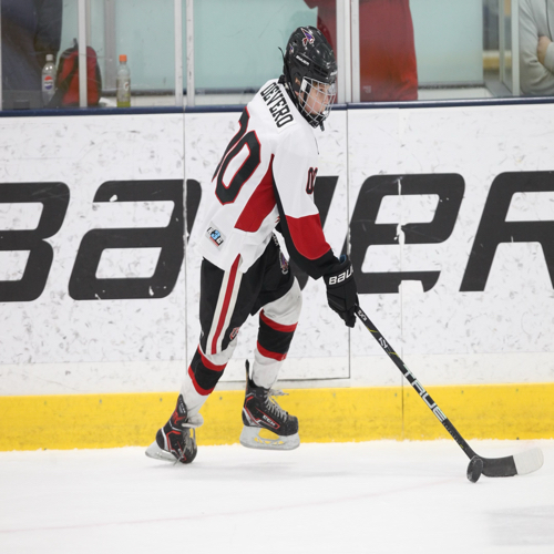 Carshield AAA Hockey | SPRING-13u (2012) Roster | SPRING PROGRAM | 2025