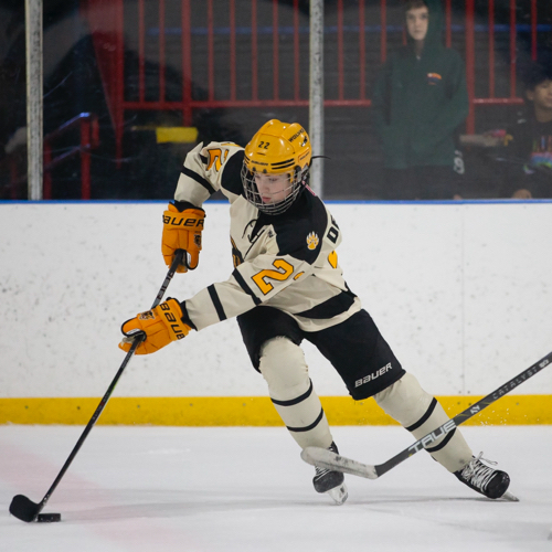 Golden Wolves Hockey | Bantam 14UAA Roster | Golden Wolves | 2023-2024 ...