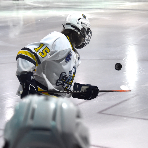 St. Louis Sting Hockey | 16U Roster | Central States | 2023-2024