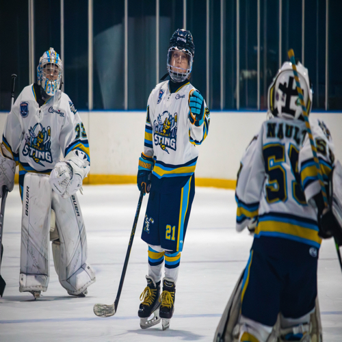 Carshield AAA Hockey | SPRING-10U (2015) Roster | SPRING PROGRAM | 2025