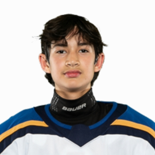 De Smet Jesuit Hockey Club | 2 - JV Gold Roster | Regular Season | 2024 ...