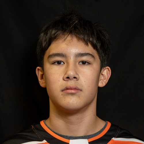 Texas Tigers Hockey | 14U AA Roster | Season Tryout Registration | 2025 ...