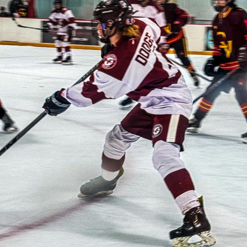 Foothills Hockey Association | Lady Chargers Roster | Lady Chargers ...