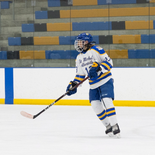 St. Michael - Albertville Youth Hockey | Bantam AA Roster | TRAVEL ...