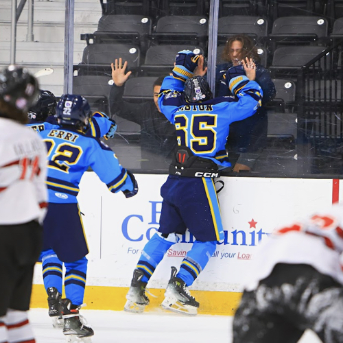 St. Louis Sting Hockey | 2011 Roster | Central States | 2025-26