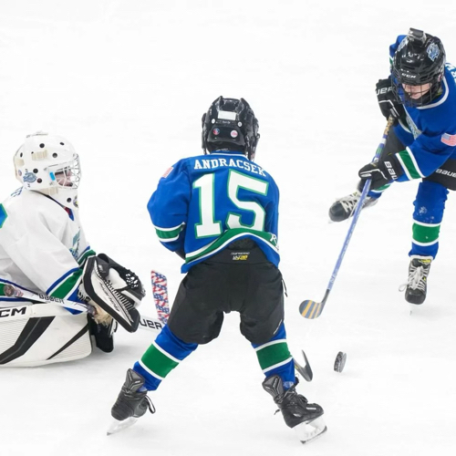 Meramec Sharks | 10U Bronze 1 - Wintertose Roster | Spring 4 on 4 and ...