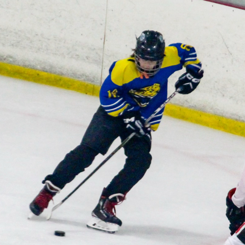 Meramec Sharks | Hockey IQ 12U 14U Roster | Summer Programs | MHC ...