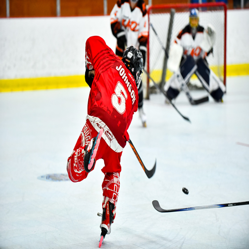 Wisconsin Elite Hockey League | SouthEast Red Roster | Boys 14U | Boys 14U