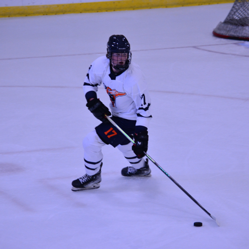 St. Louis Rockets Youth Hockey Club | 16U AA - Iler Roster | 16U AA/A1 ...