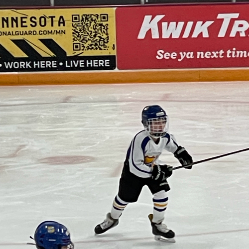 St. Michael - Albertville Youth Hockey | Squirt B1 Gold Roster | TRAVEL ...