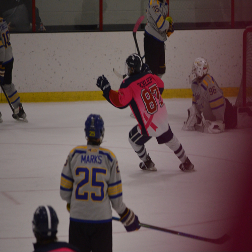 Saint Viator Lions Hockey Club | Varsity Roster | Regular Season | 2024 ...