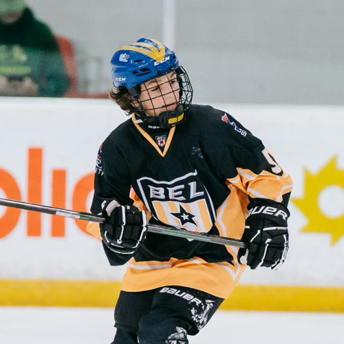 SDP Hockey | 2009 Elite Roster | AAA Hockey - Boys | 2023-2024