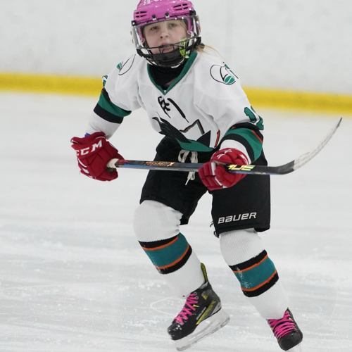 Cleveland Sharks | 10U Team 1- Coaches Bravo and Turner Roster | Full ...