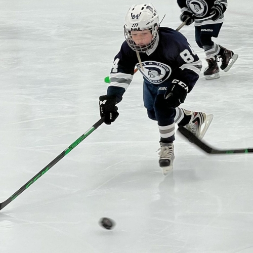 Wilmette Jr. Trevians Hockey | Spring Squirt 1 Roster | Spring Youth ...