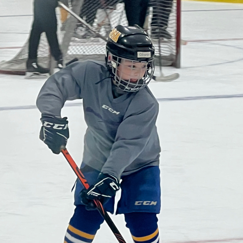 St. Michael - Albertville Youth Hockey | Squirt B1 Gold Roster | TRAVEL ...